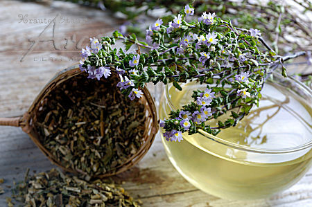 eyebright_tea | クラウターハウス